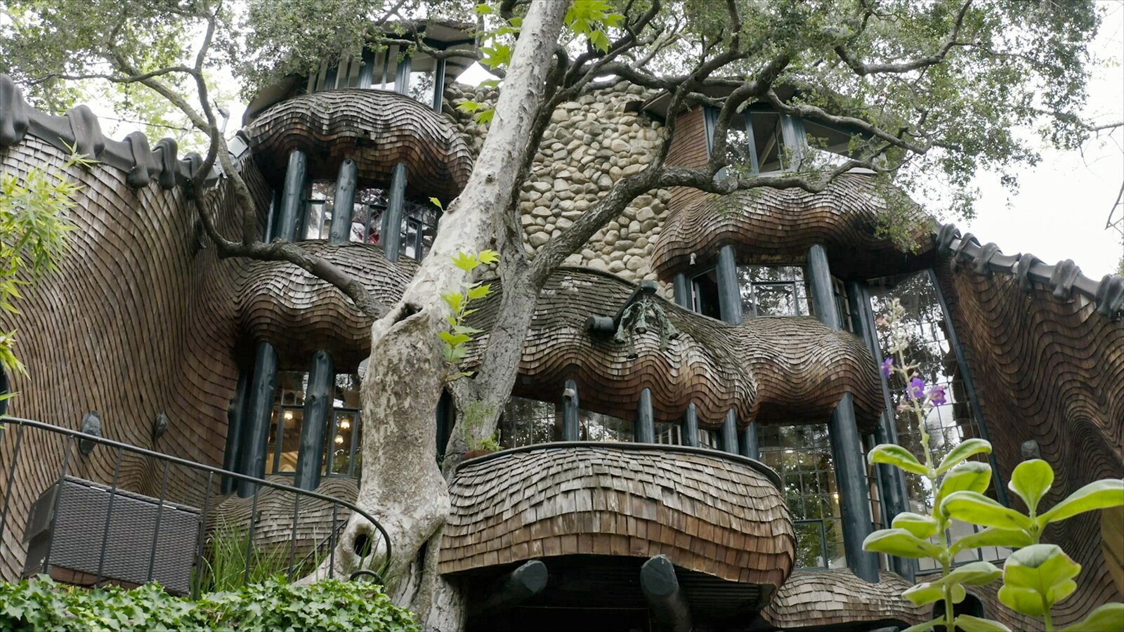 Articles about bokep+viral+bu+salsa on Dwell.com - Dwell