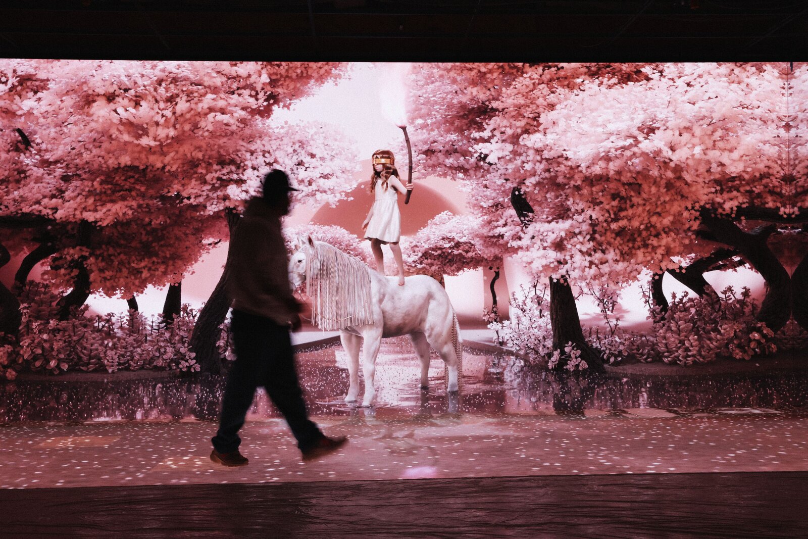 Photo 9 of 12 in Can Mercer Labs Keep the “Immersive Museum” Trend ...