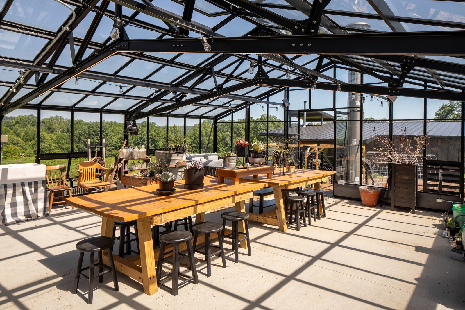 Photo 3 of 7 in How They Pulled It Off: A Greenhouse on Top of a Former ...