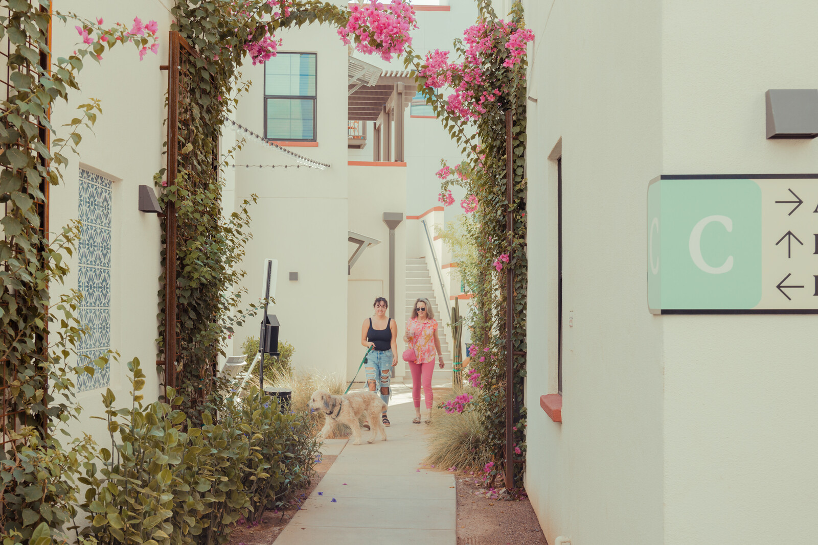 Photo 3 of 6 in America’s “First Car-Free Neighborhood” Is Going Pretty ...