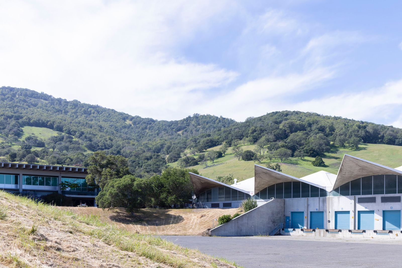 Photo 3 of 6 in Marin’s Famous Birkenstock Building Just Got a New ...