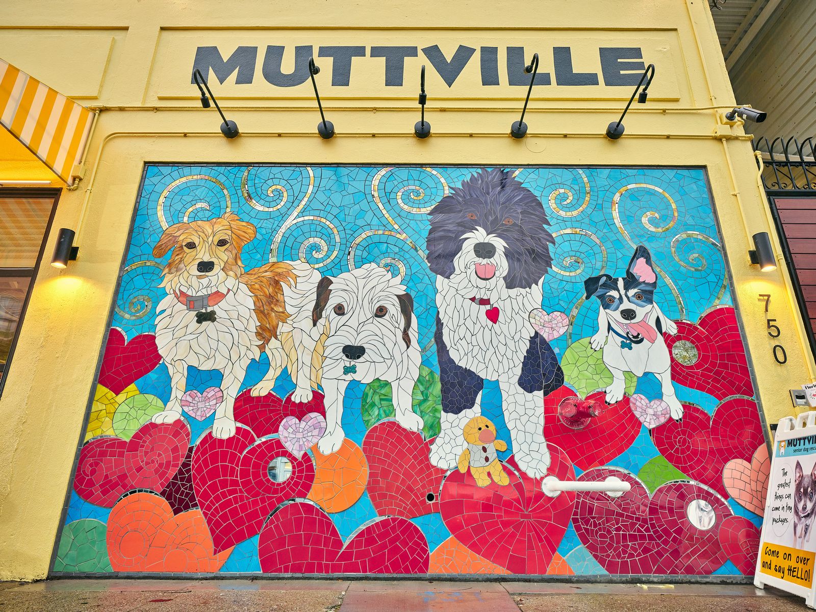 Photo 3 of 8 in Inside Muttville, the Cage-Free Dog Shelter Designed ...