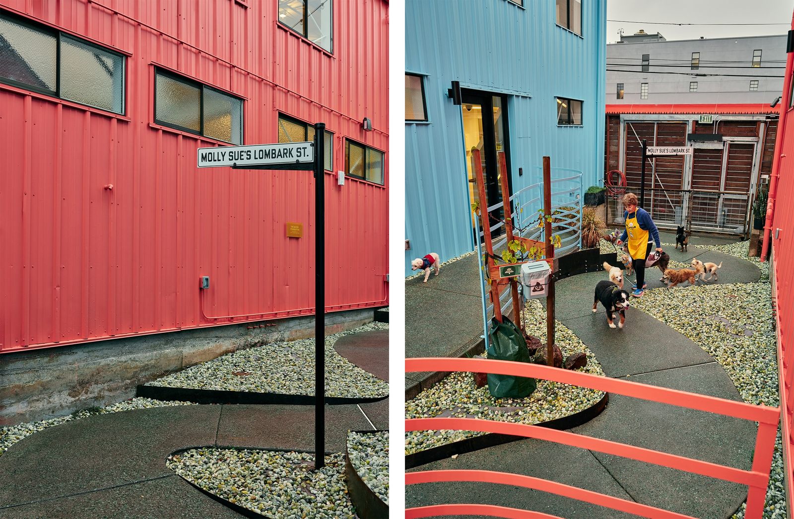 Photo 4 of 8 in Inside Muttville, the Cage-Free Dog Shelter Designed ...