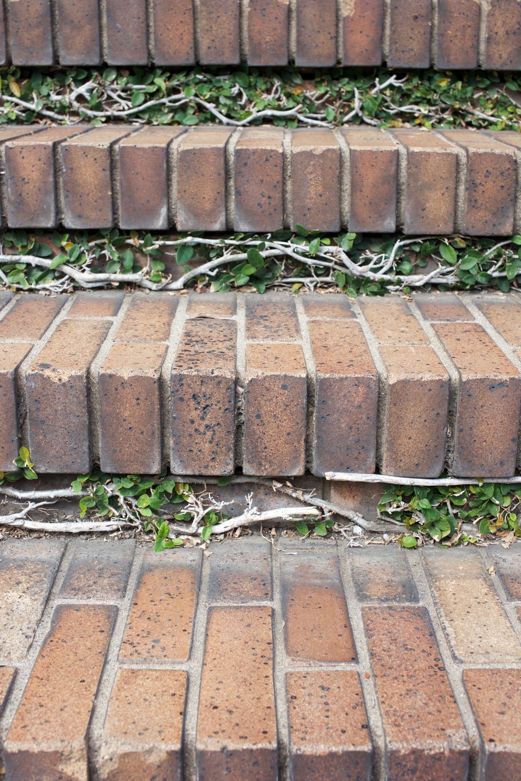 Photo 8 of 8 in Iconic Perspectives: Greene & Greene's Gamble House - Dwell