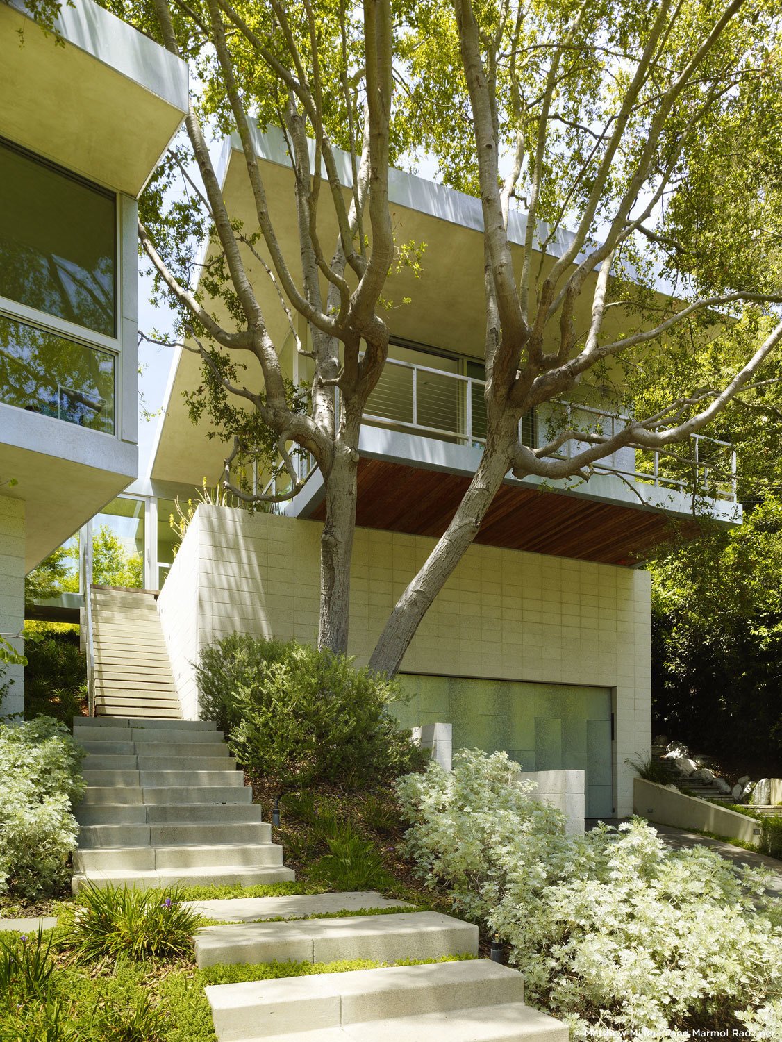 Photo 9 of 13 in Ward Residence by Marmol Radziner - Dwell
