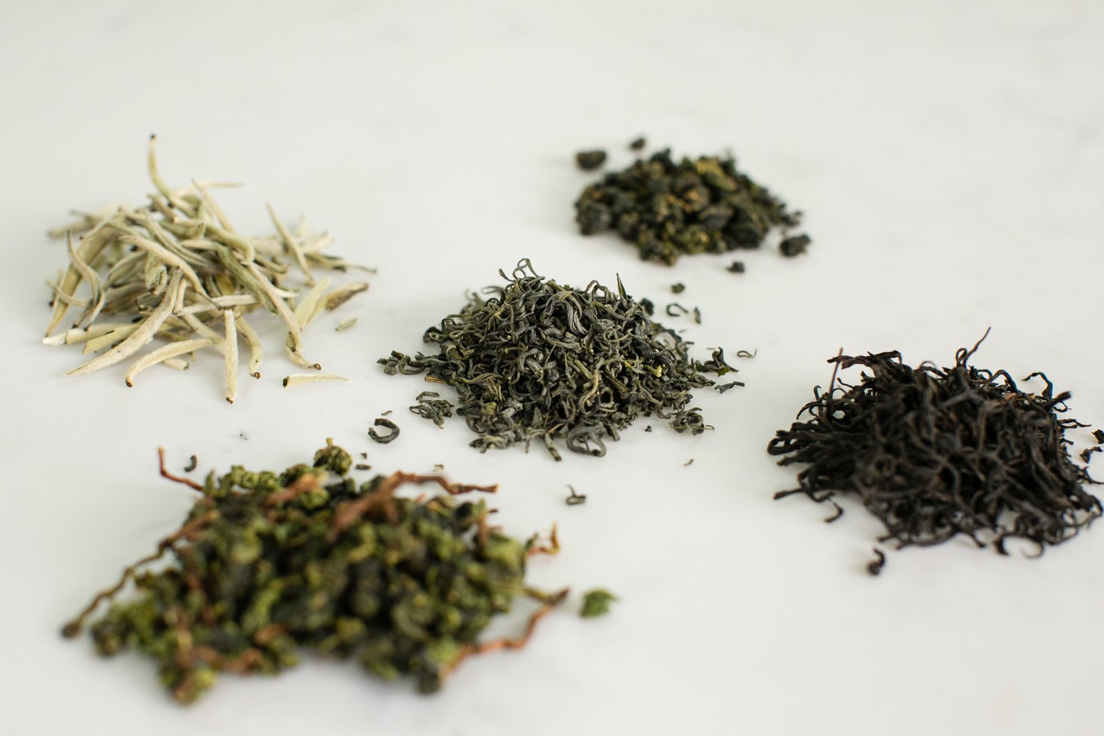 Photo 3 of 7 in A New Prototype Design Asks: Is Tea the New Coffee? - Dwell