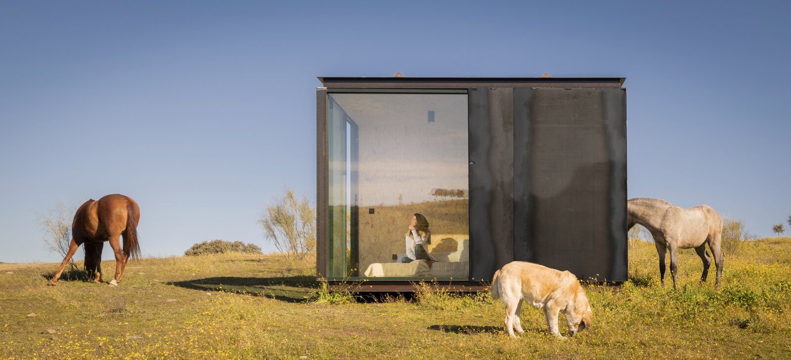 Photo 1 of 9 in Tini Living Makes Tweakable Steel-Framed ADUs That ...