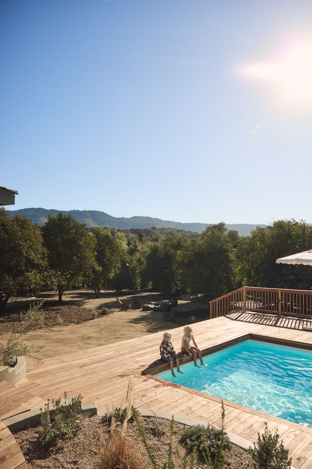 Photo 3 of 19 in Budget Breakdown: It Took One Tree and $319K to Turn ...