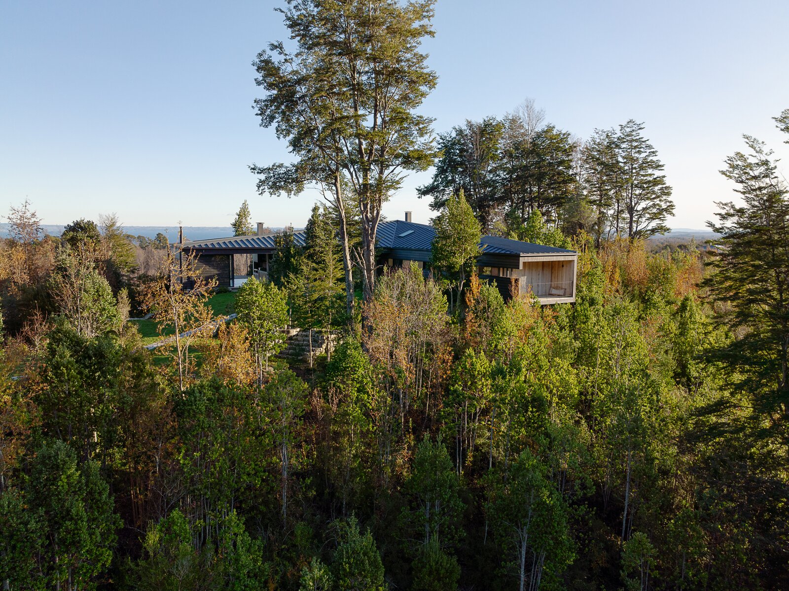 Photo 5 of 17 in A T-Shaped Cabin Hugs a Forested Hillside in Chile - Dwell