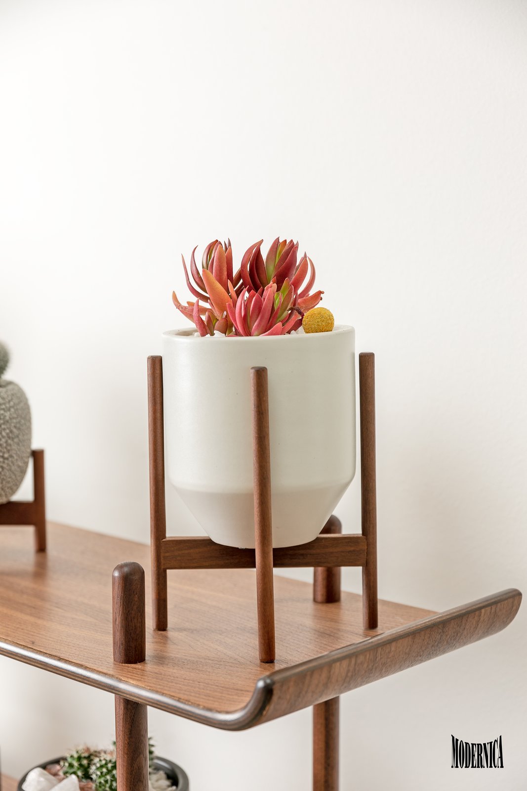 Photo 4 of 33 in Case Study Ceramics® by Modernica - Dwell