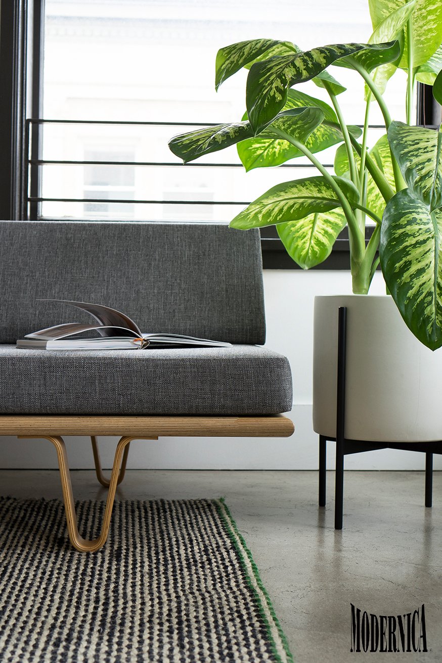 Photo 5 of 24 in Case Study Furniture® Daybeds by Modernica - Dwell