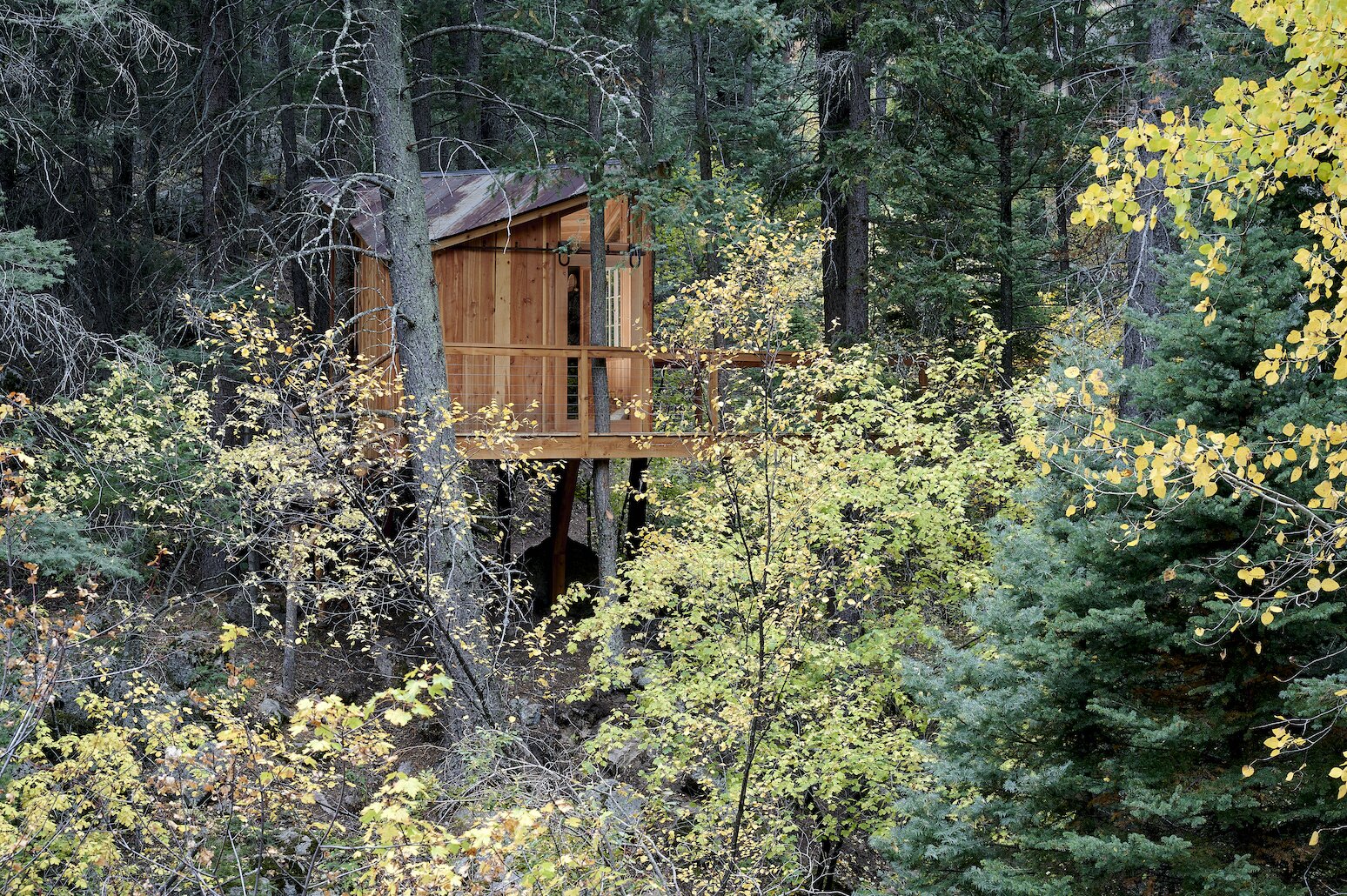 Photo 4 of 13 in A Family Builds a Fairy-Tale Tree House in the Woods ...
