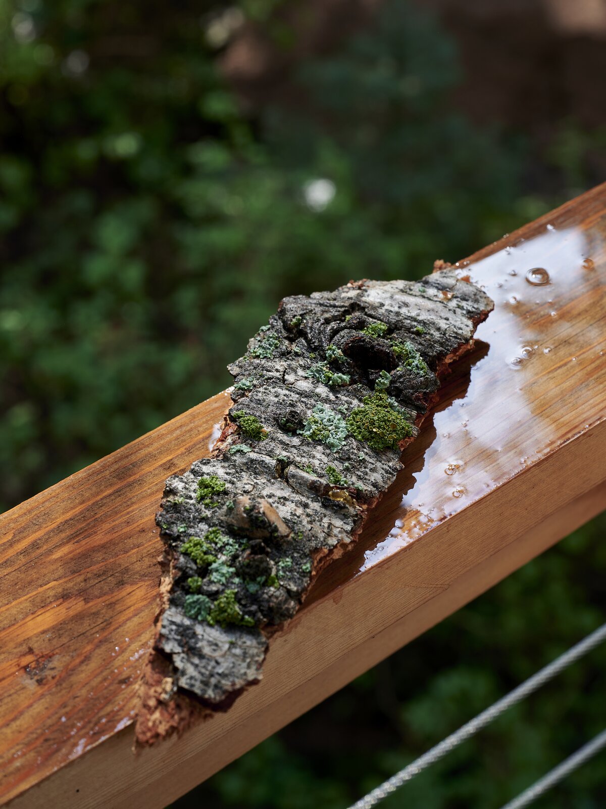 Photo 10 of 13 in A Family Builds a Fairy-Tale Tree House in the Woods ...