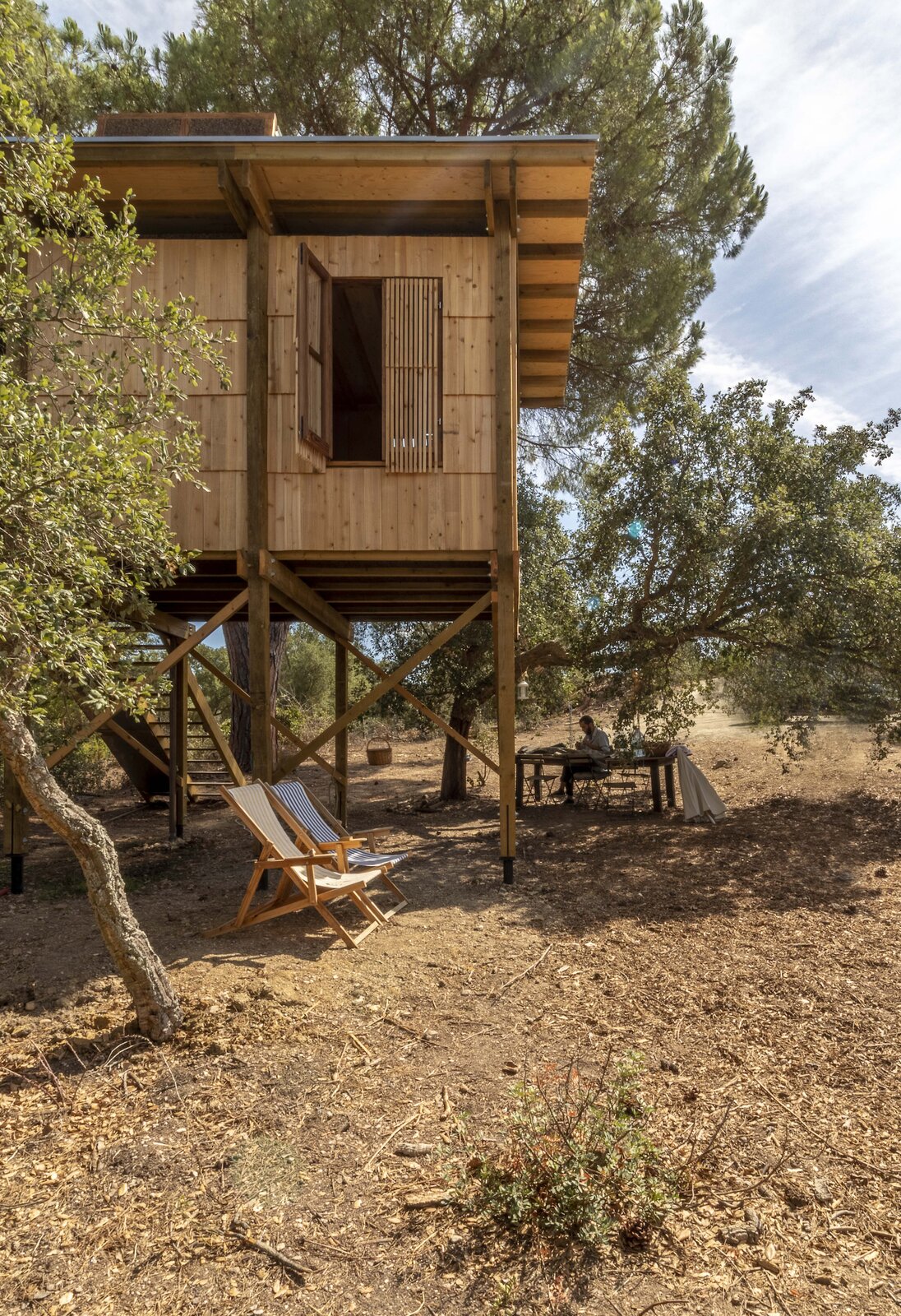 Photo 15 of 17 in 260 Square Feet of Tree House Is All a Portuguese ...