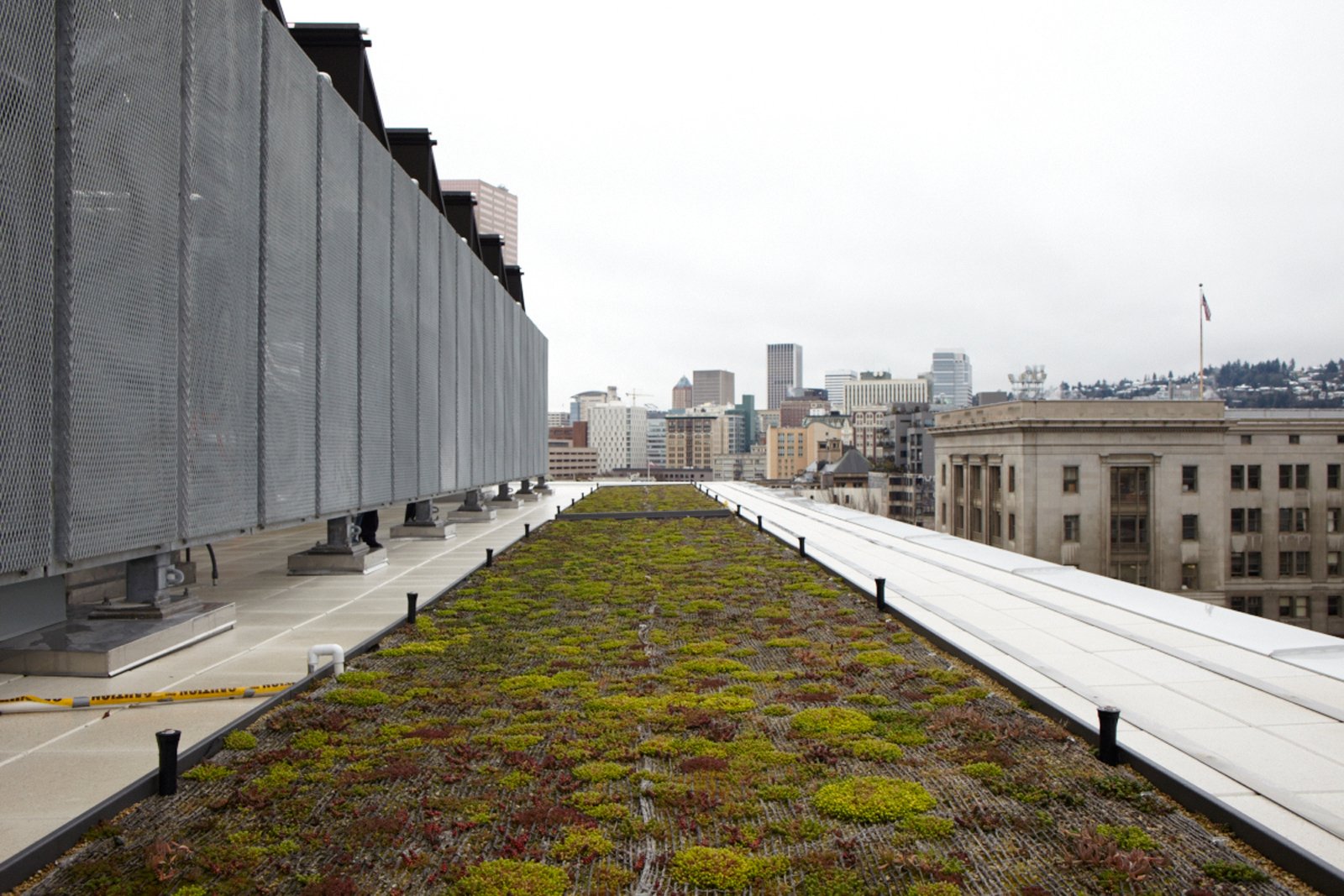Photo 9 of 25 in 25 Green Roofs That Bring Spectacular Homes to New Levels - Dwell