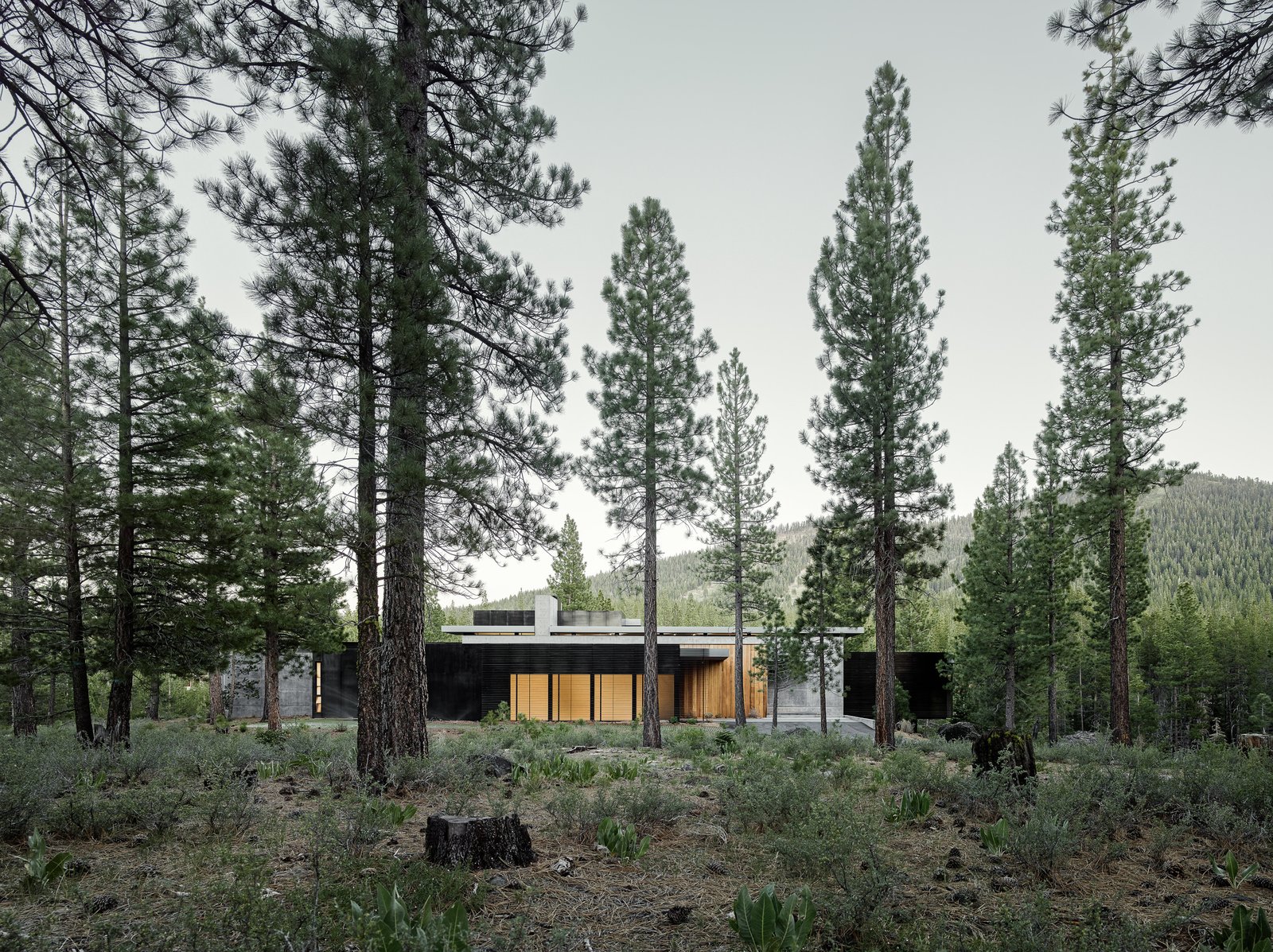 Photo 15 of 18 in This Concrete Abode Stretches Over Giant Boulders - Dwell