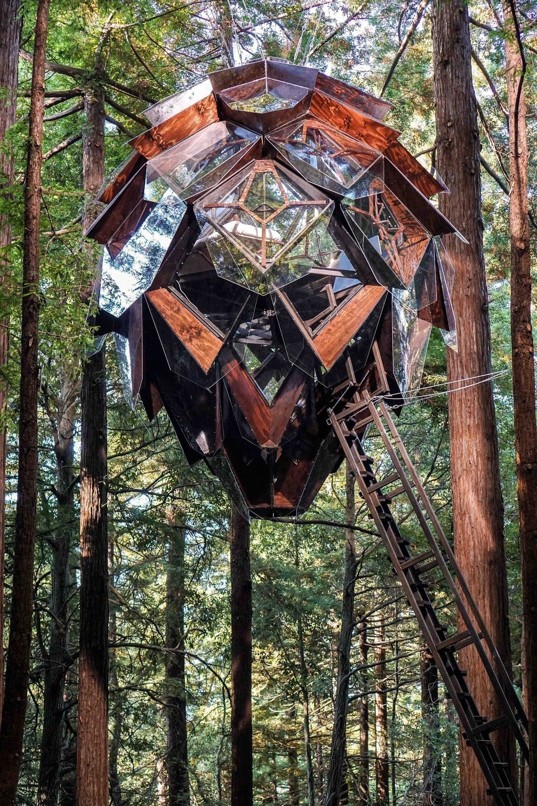 Photo 2 of 16 in 16 Unbelievable Tree Houses We’re Pining Over from You ...