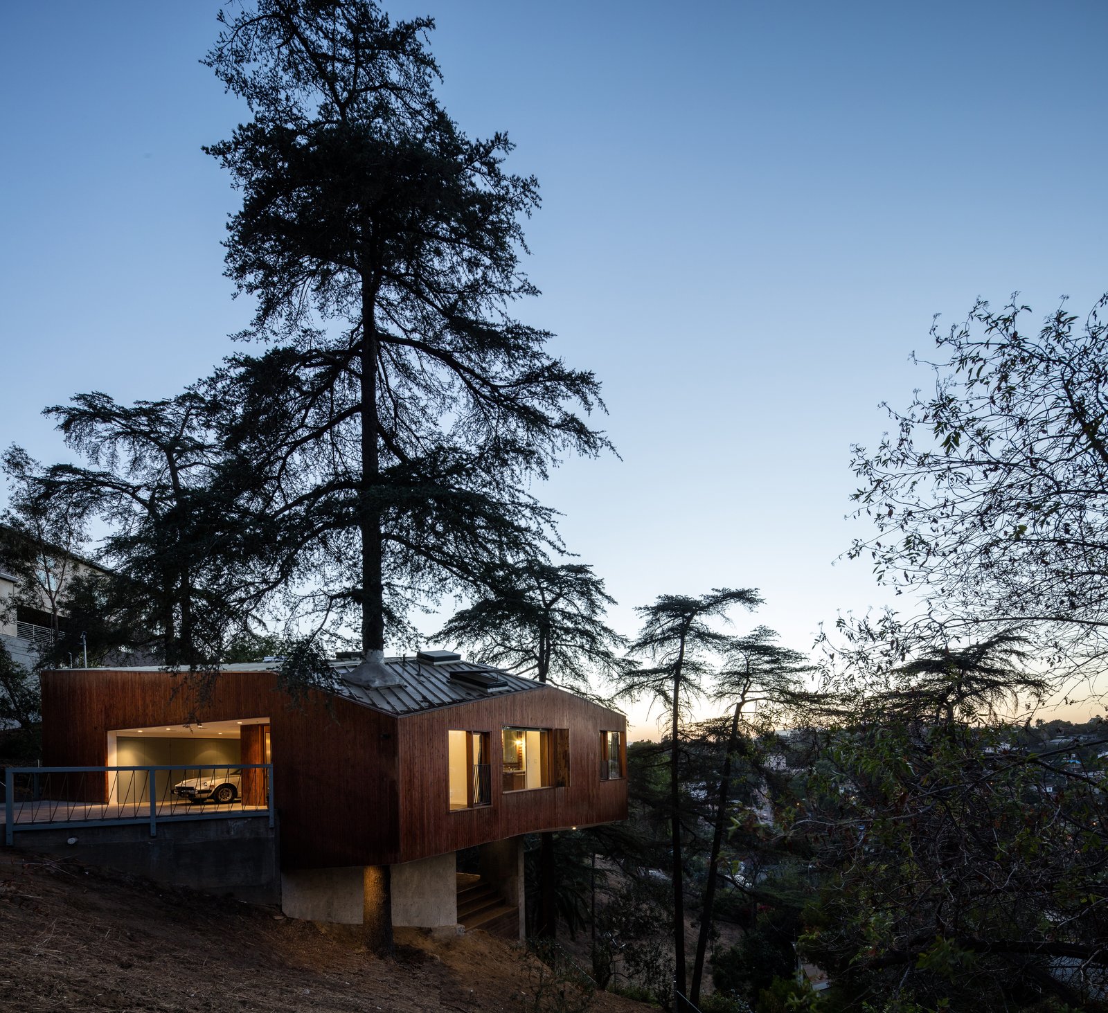 Photo 23 of 23 in 23 Unconventional Homes Built Around Trees - Dwell