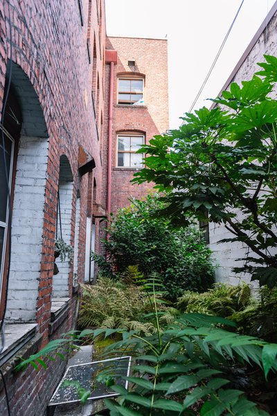 Photo 10 of 24 in Before & After: A Historic Apartment Building Is ...