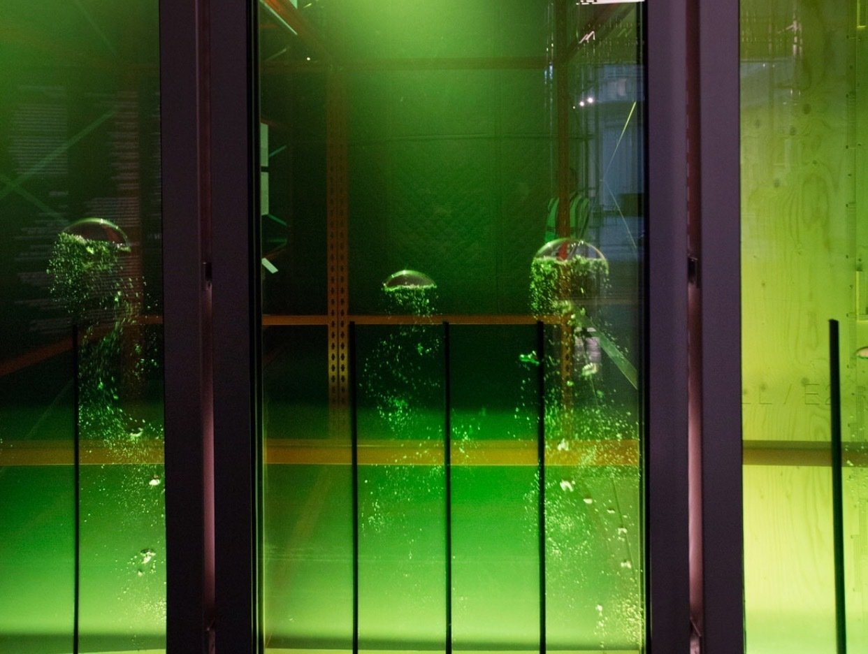 Photo 4 of 12 in Material Spotlight: Algae by Melissa Abel from ...