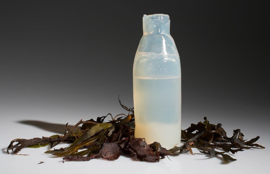 Photo 11 of 12 in Material Spotlight: Algae by Melissa Abel - Dwell