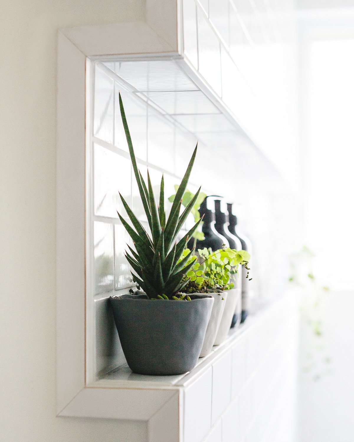 Photo 11 of 13 in Bayview Remodel by McElroy Architecture - Dwell