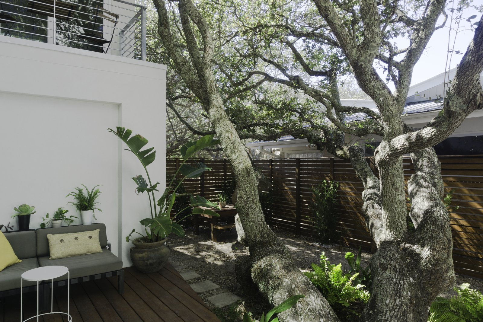 Photo 1 of 27 in The Live Oak House by Mandy Cheng Design - Dwell