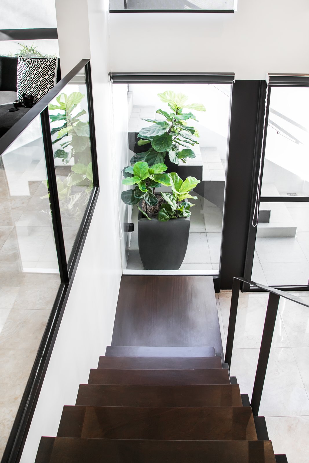 Photo 10 of 29 in House on Tanguile Street by dito architects - Dwell