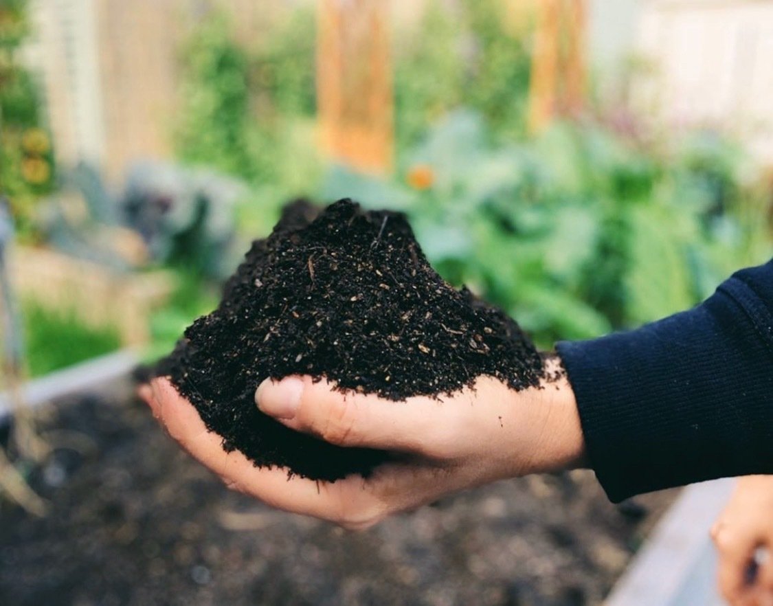 Photo 1 of 9 in The Beginner’s Guide to Starting Vegetable Seeds ...