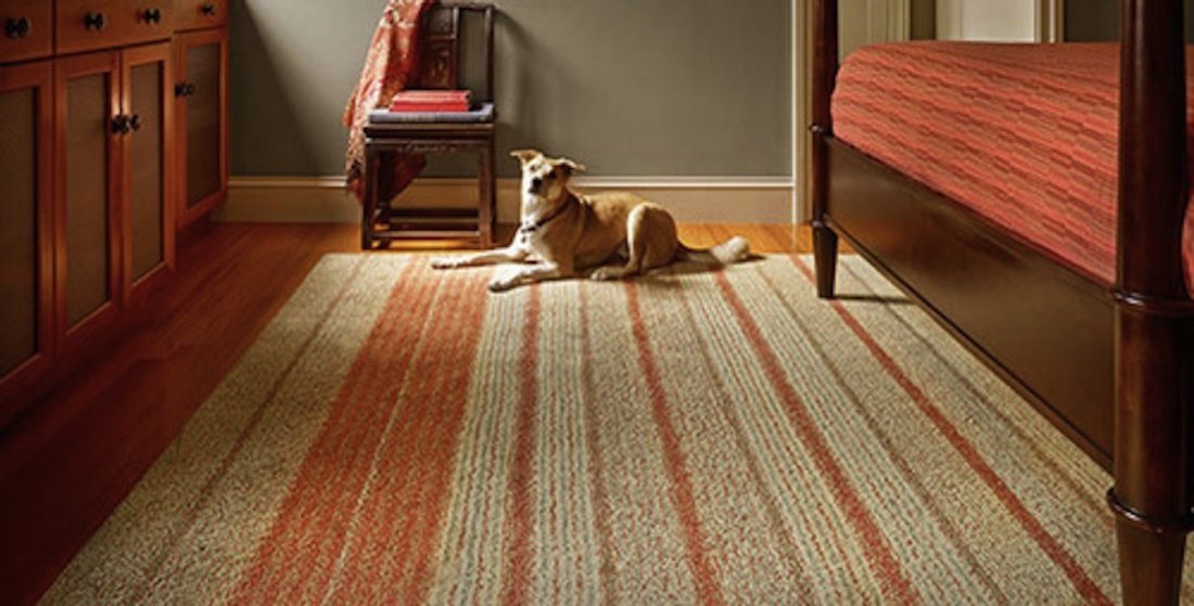 Photo 2 of 2 in TRIG MODERN Design Center and Showroom - News & Other ...