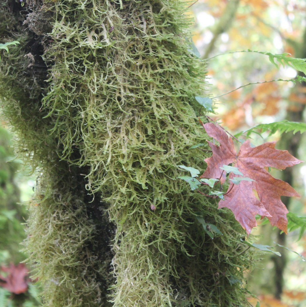 Photo 2 of 13 in Modernism Inspiration in Nature by Two Paddles Design ...