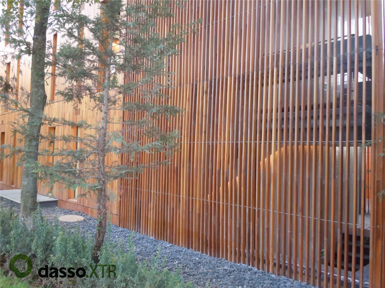 Photo 1 of 393 in dasso.XTR by Dasso - Dwell