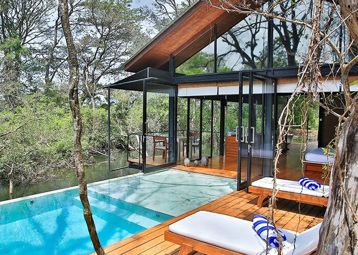 Photo 10 of 11 in Escape to the Jungle in One of These Modern Forested ...
