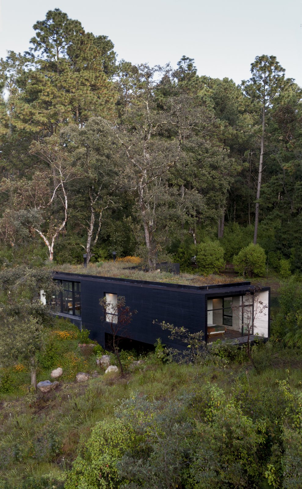 Photo 2 of 18 in Upcycled Trees Cloak This Modern Mexican Home - Dwell