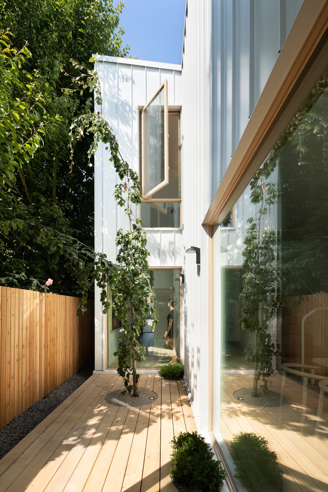 Photo 4 of 19 in 11 Skylights Brighten a Compact, Narrow Home in ...