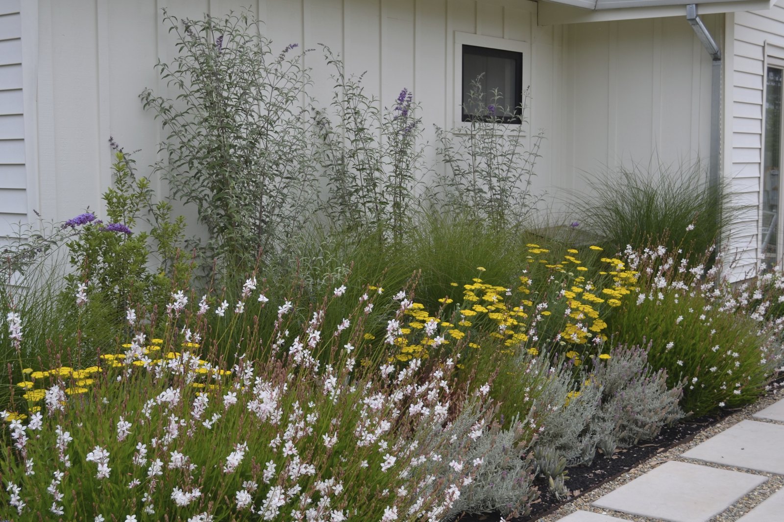 4 Residential Planting ideas - Dwell