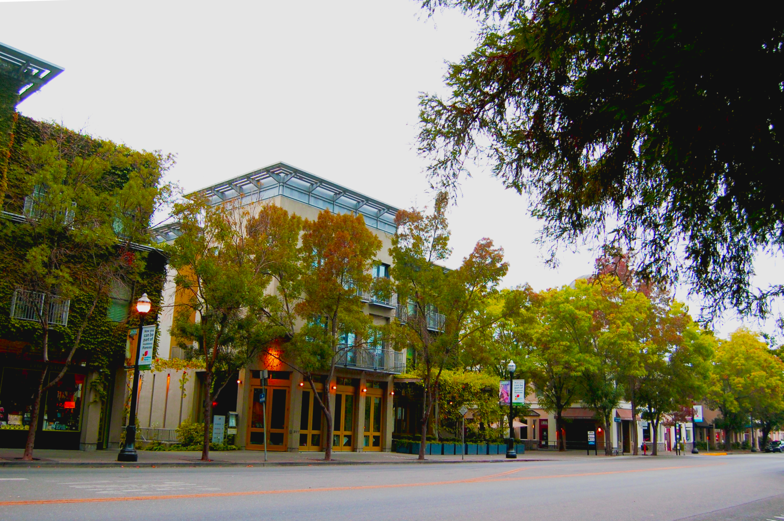 Photo 7 of 7 in Artist Reinvents the Contemporary Art Experience - Dwell