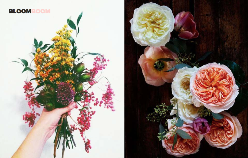 Photo 3 of 10 in Bloom Boom - Dwell