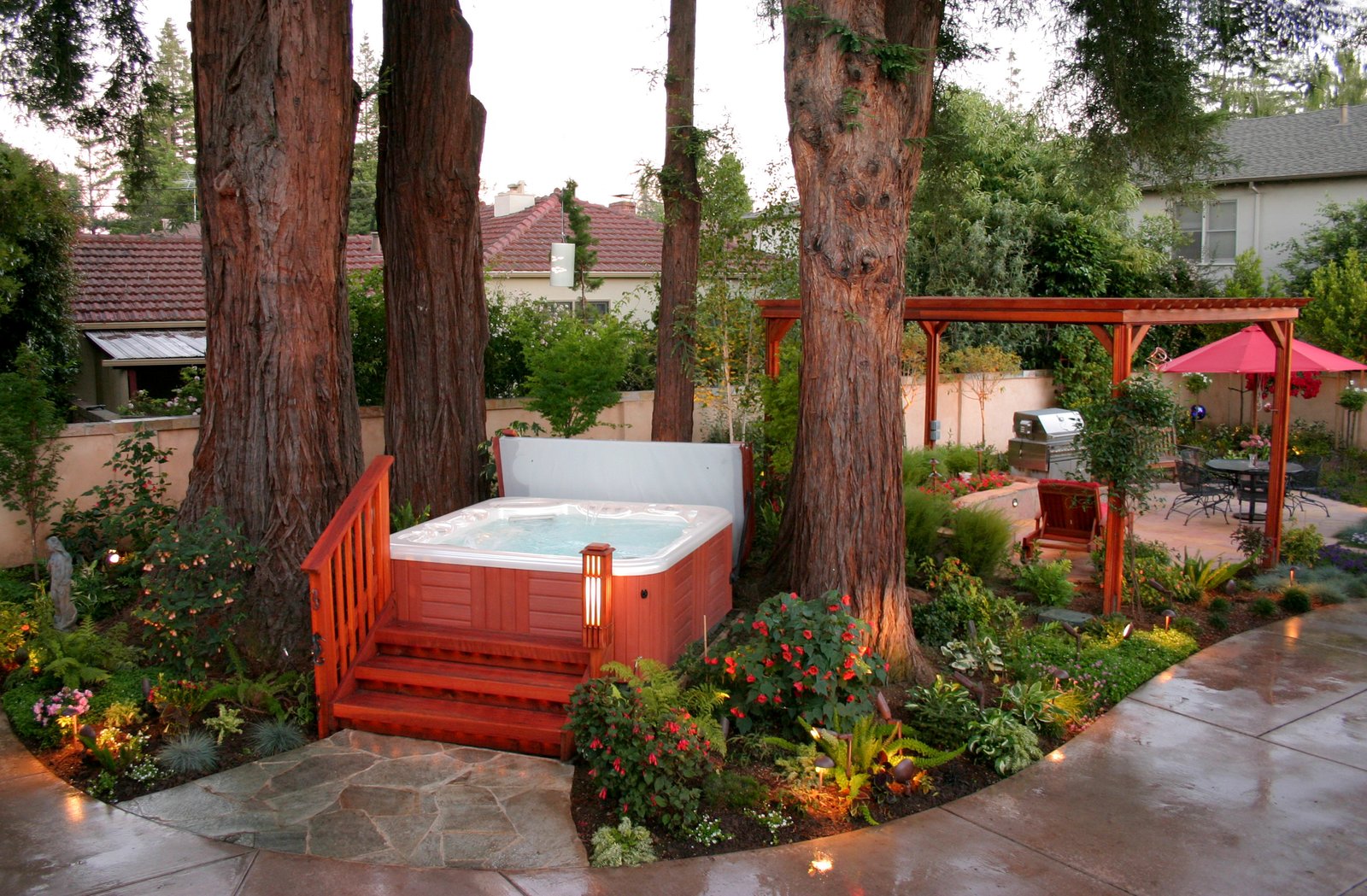 Landscaping With Redwood Trees Dawn Redwood | Description, Discovery,