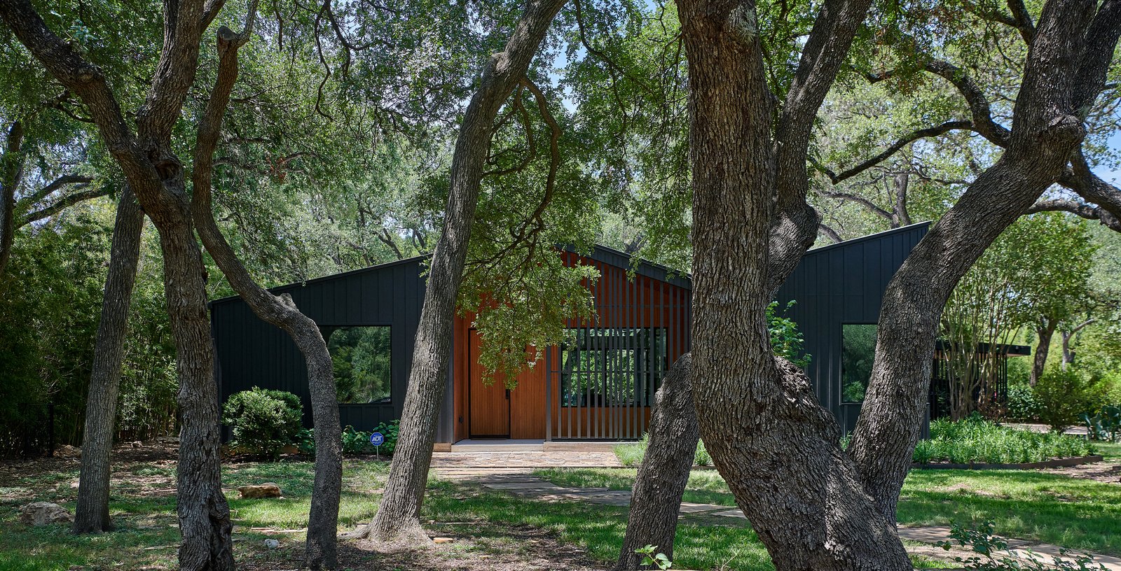 Photo 6 of 11 in An Angular Austin Home Makes Way For Heritage Oak ...