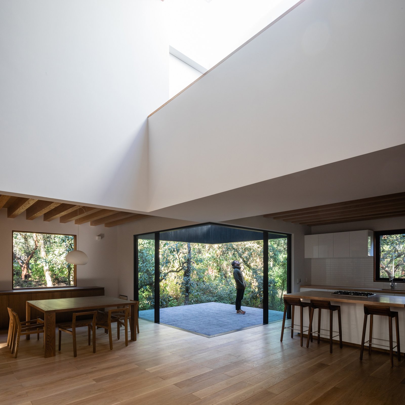 Photo 8 of 16 in A Matte Black Home in Mexico City Opens Up to 360 ...