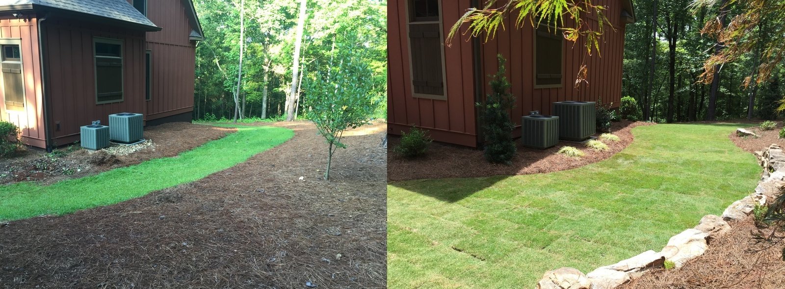 Photo 1 of 16 in Landscaping by Lee Rubenstein - Dwell