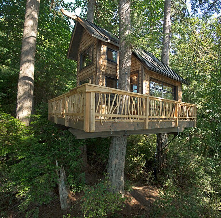 A Treehouse perched in Fir Trees on a Bluff above Puget Sound in the ...