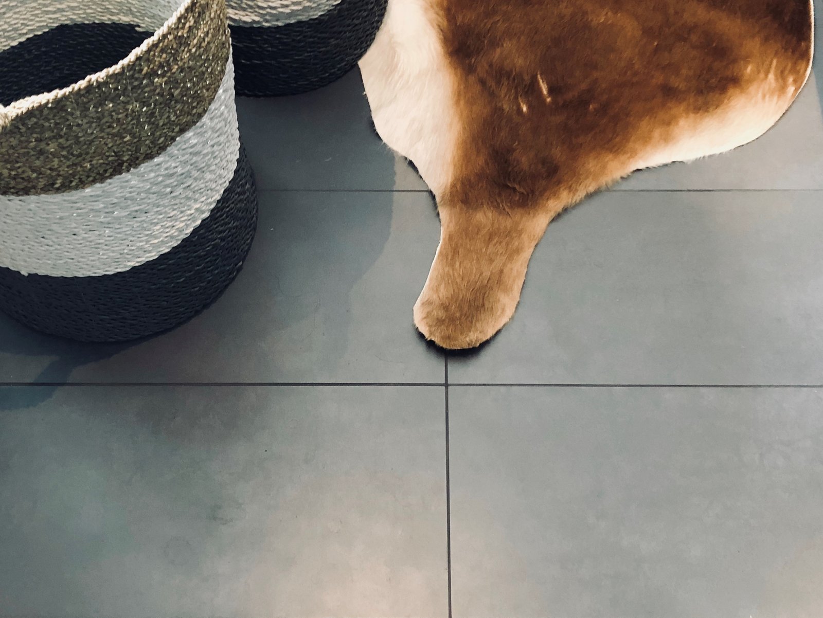 Photo 12 of 13 in The Chalet by Alpha Genesis Design Build, LLC - Dwell