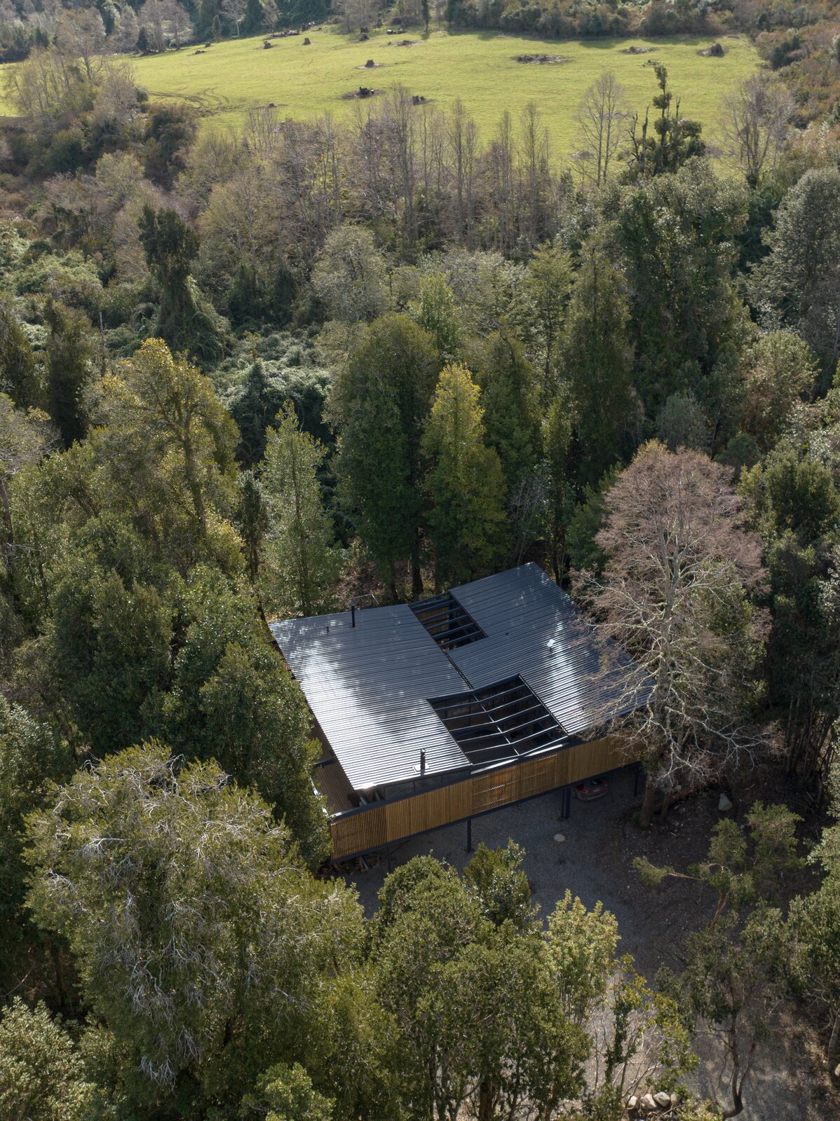 Photo 2 of 10 in This Forest Home in Chile Is Elevated to Float Among ...