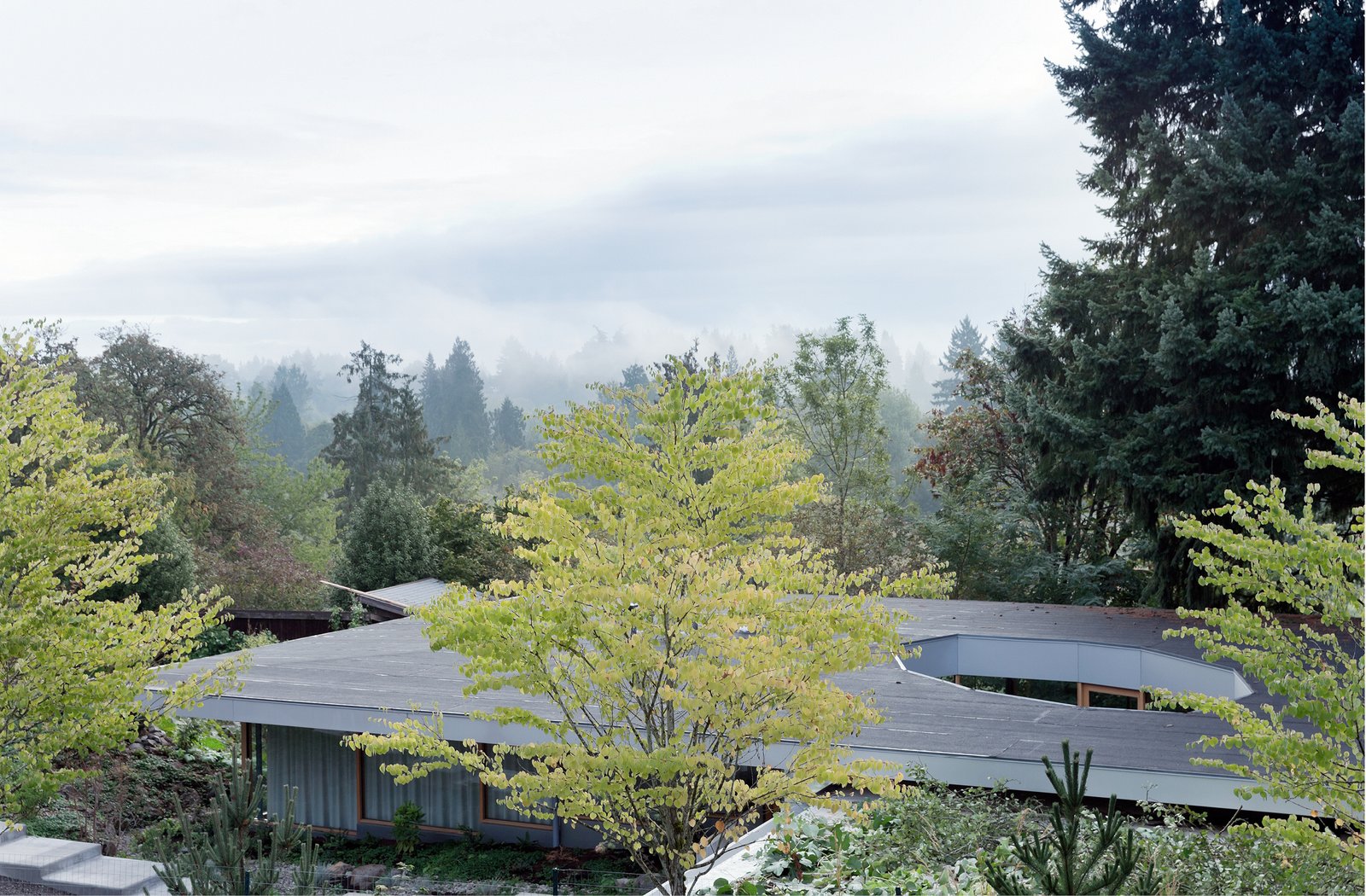 Photo 6 of 21 in The Courtyard House by NO ARCHITECTURE - Dwell