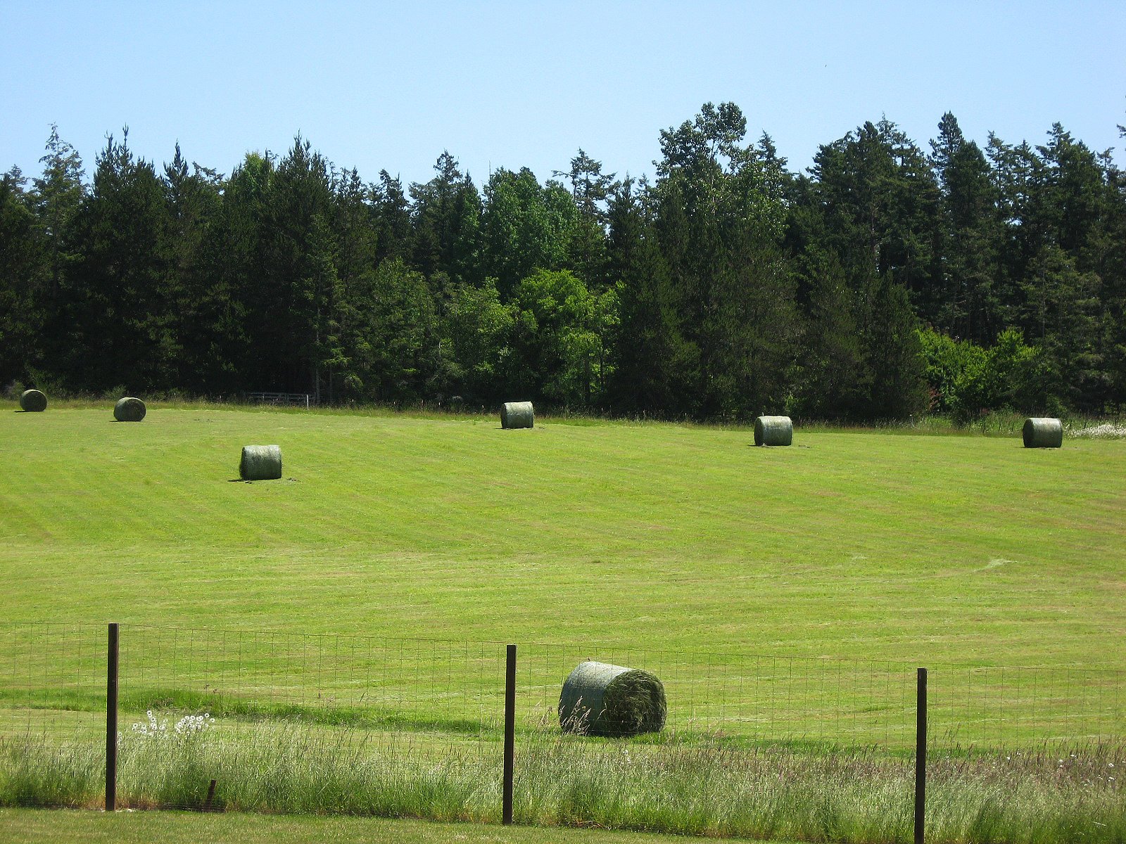 Photo 20 of 24 in Sweetbriar Farm by Karlena Pickering - Dwell