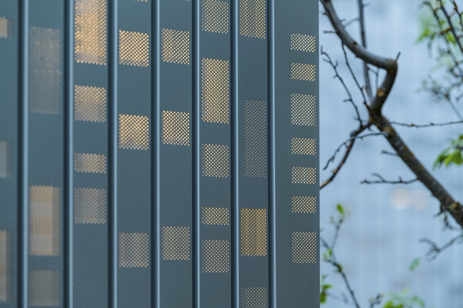 Photo 9 of 9 in Victorian Music Box by CCY Architects - Dwell