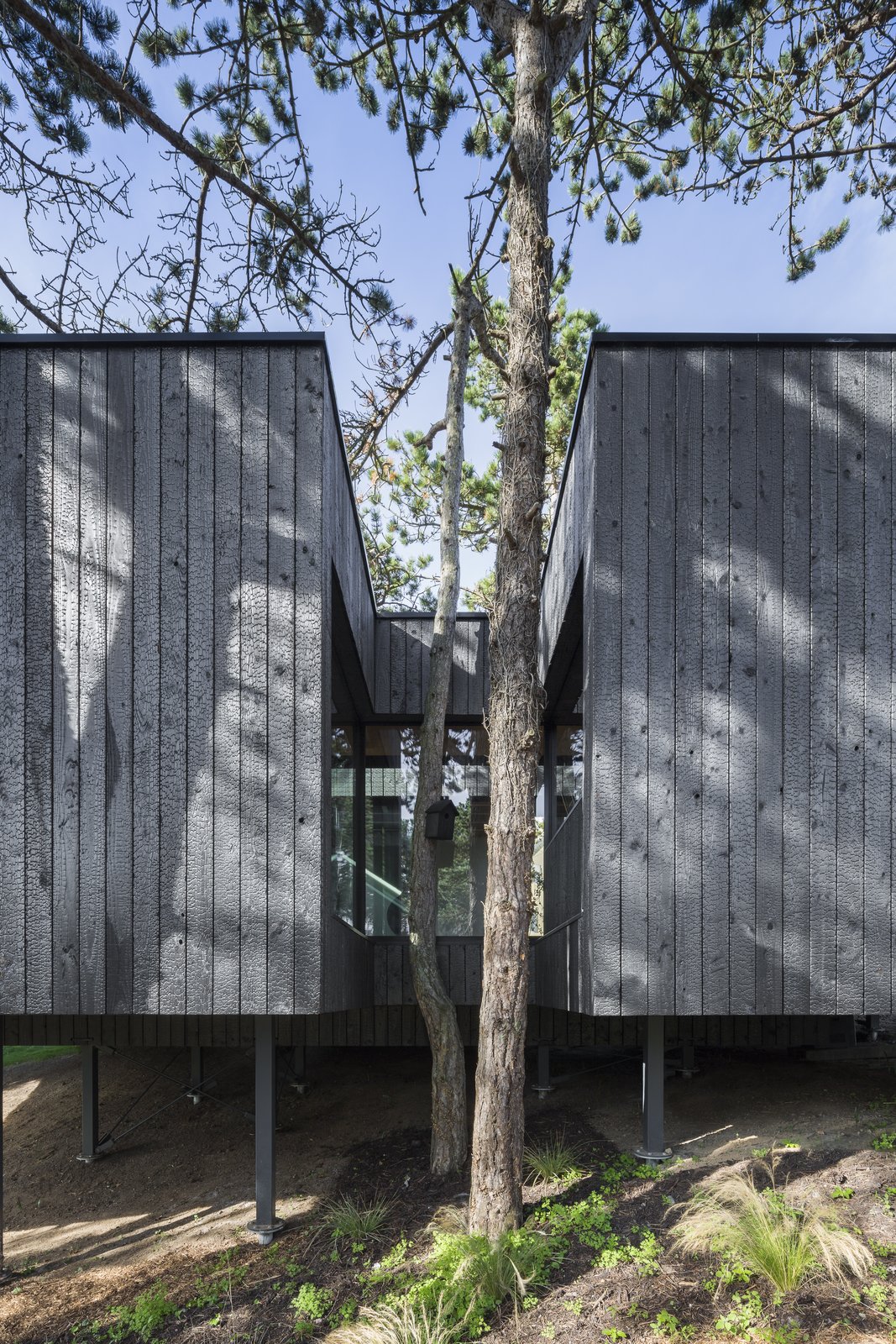 Photo 11 of 12 in A Modern Tree House in France Preserves the ...