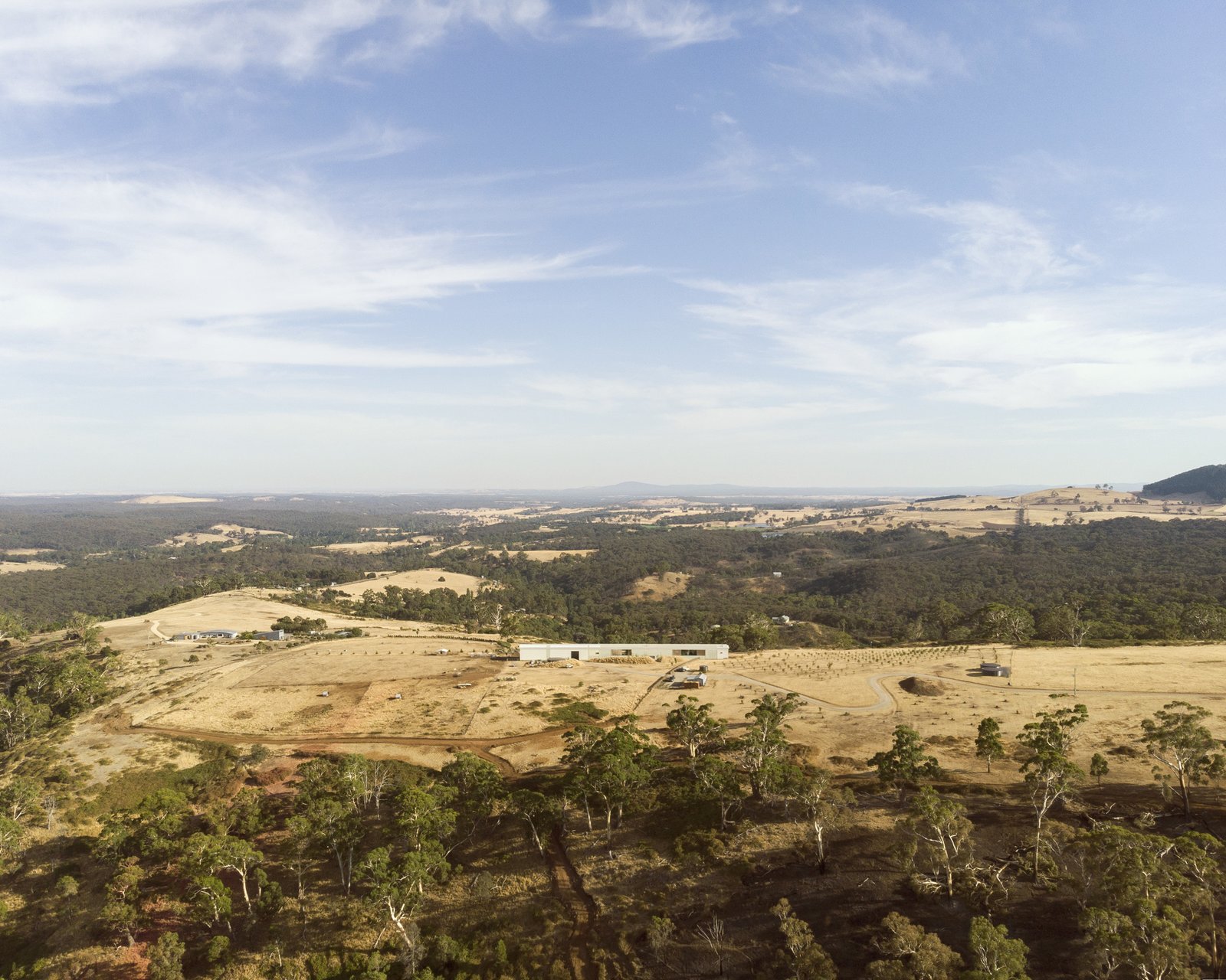 Photo 1 of 14 in This Translucent Shed Hosts a Couple’s Home, Garden ...